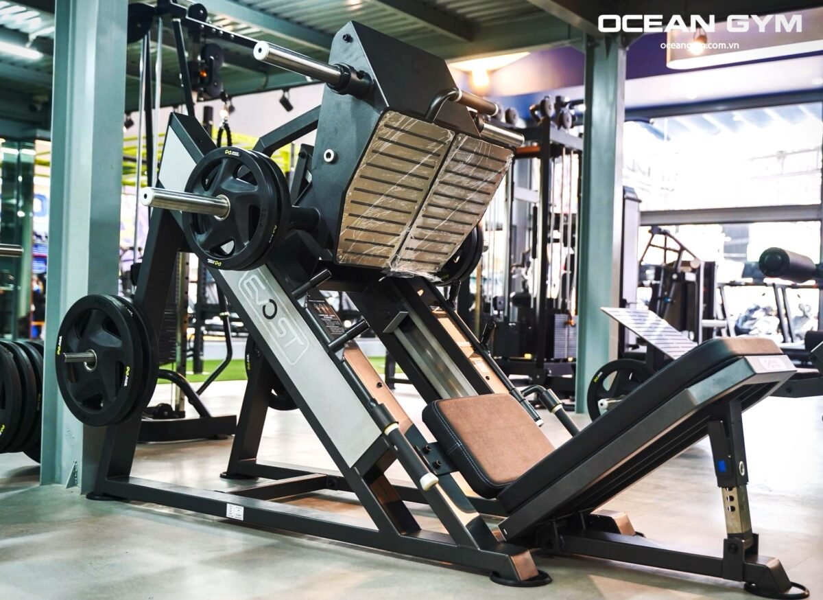 Phòng tập cao cấp OCEAN GYM QUẬN 12 - Tiên Phong Fitness Setup