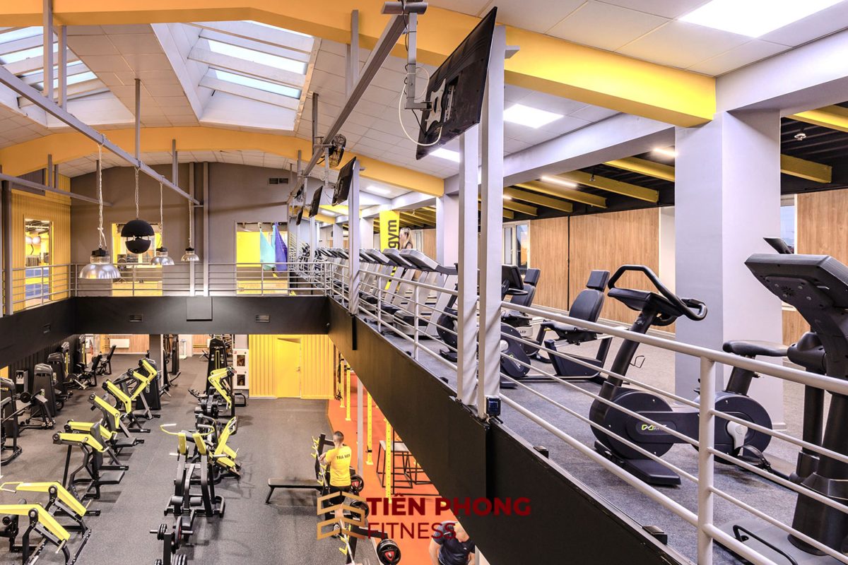 DHZ Fitness - Tiên Phong Fitness Setup
